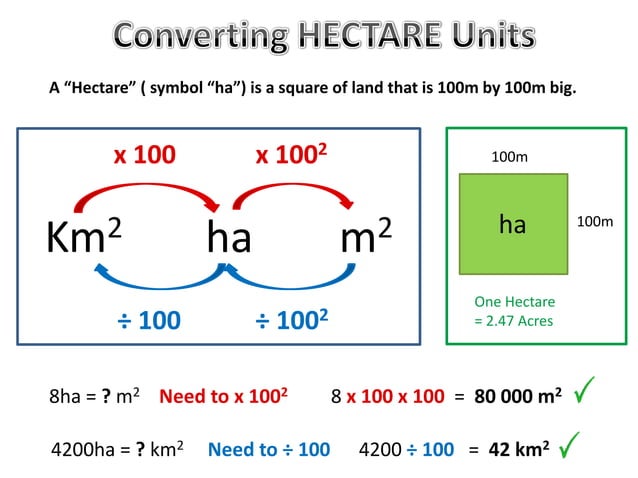 Converting Metric Units | PPTX
