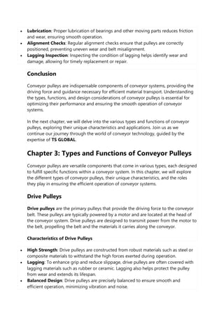 Conveyor Pulleys Innovations and Applications by TS GLOBAL.pdf