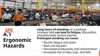 Conveyor Safety Induction fffffffffffffffffffffffffffffffffffffffff | PPT