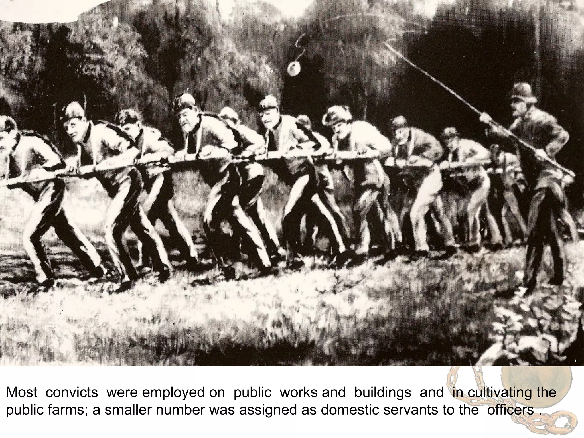 Convicts | PPT