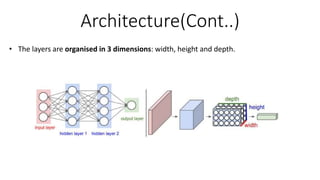 Convolutional neural network | PPTX