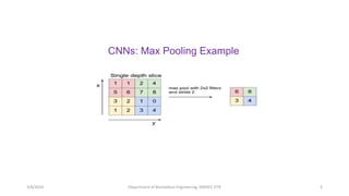CONVOLUTIONAL NEURAL NETWORK COMPONENTS.pptx