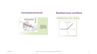 CONVOLUTIONAL NEURAL NETWORK COMPONENTS.pptx