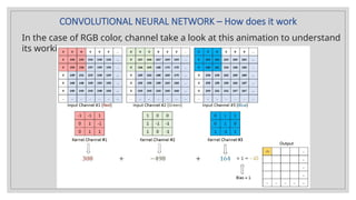 Convolutional neural network.pptxIntroduction to ai deep learning.pdf