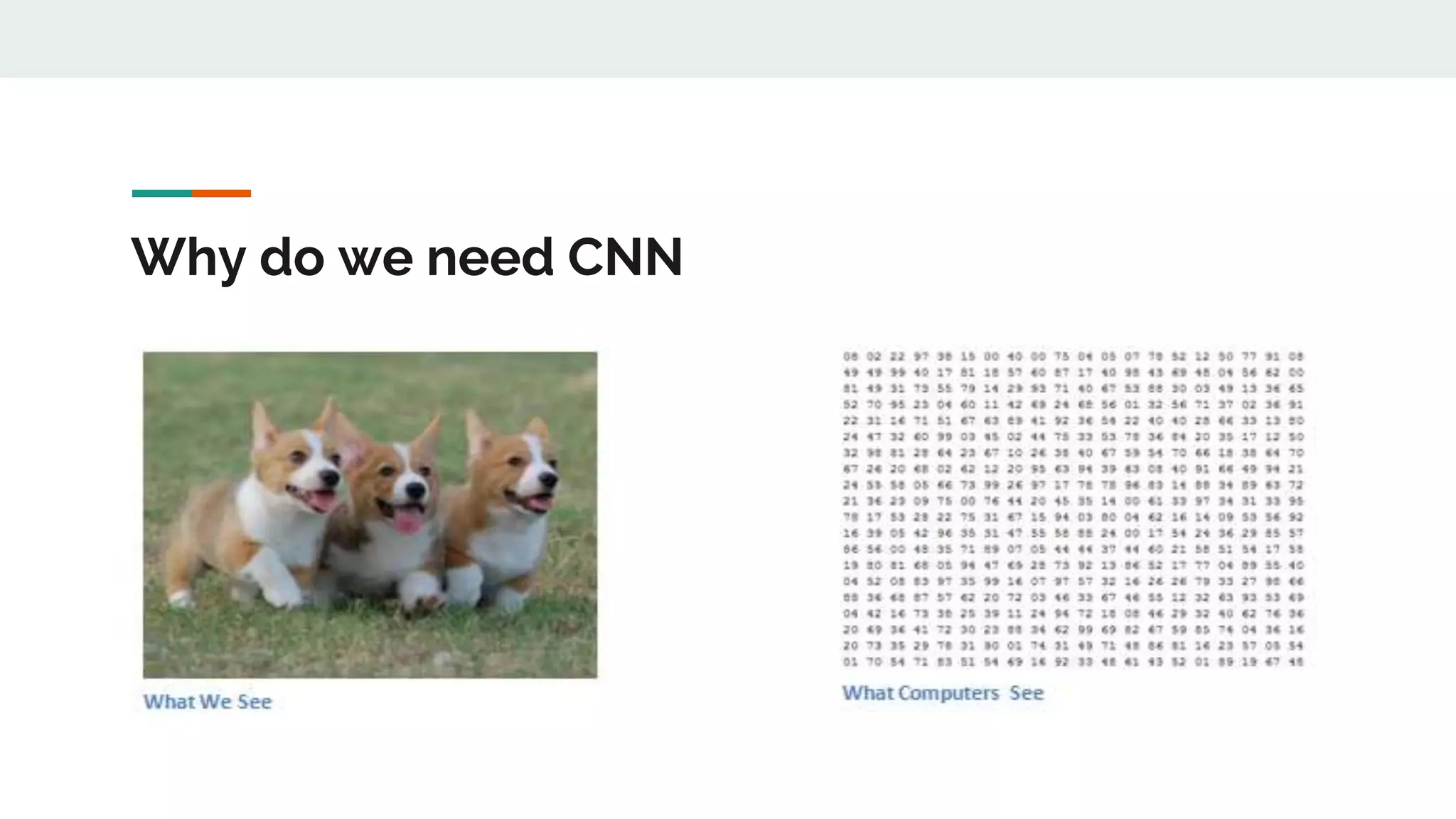 Convolutional neural networks | PPTX | Artificial Intelligence ...