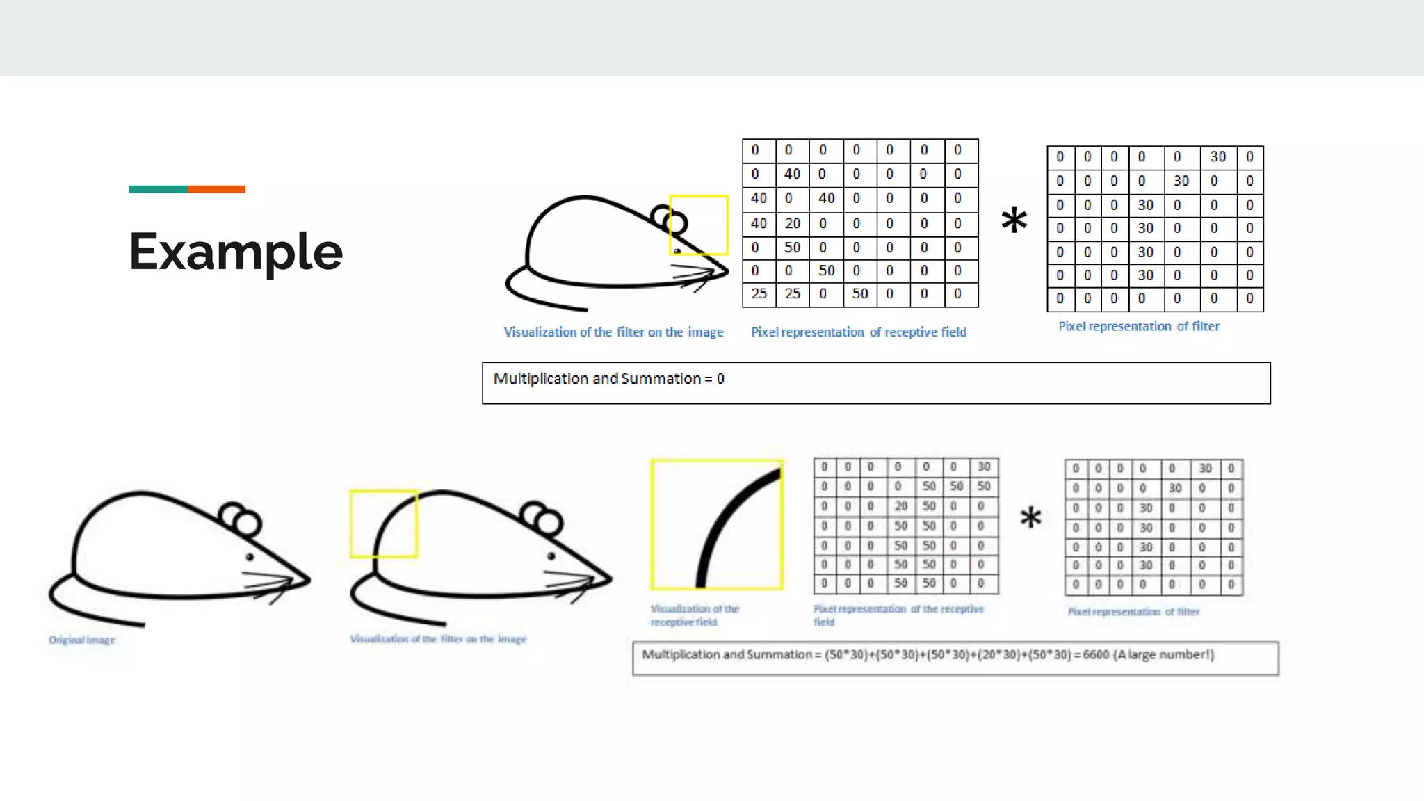Convolutional neural networks | PPTX | Artificial Intelligence ...