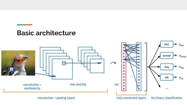 Convolutional neural networks | PPTX | Artificial Intelligence | Technology & Computing
