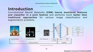 Convolutional Neural Networks CNN | PPTX