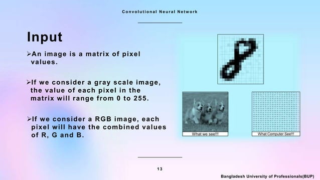 Convolutional Neural Networks CNN | PPTX