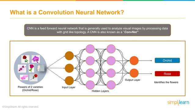 Convolutional Neural Network - CNN | How CNN Works | Deep Learning Course | Simplilearn | PPTX ...