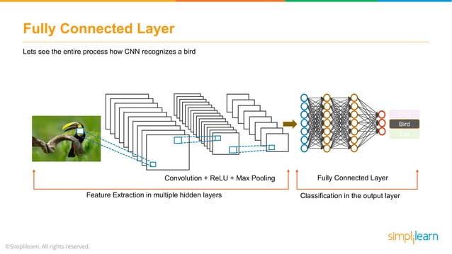 Convolutional Neural Network - CNN | How CNN Works | Deep Learning Course | Simplilearn | PPTX ...