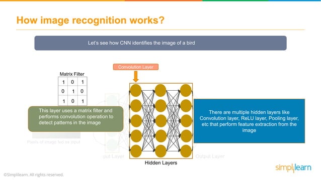 Convolutional Neural Network - CNN | How CNN Works | Deep Learning Course | Simplilearn | PPTX ...
