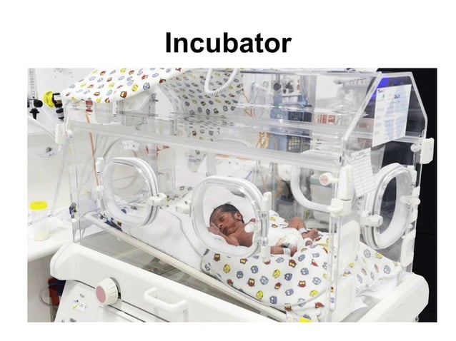 Convulsion and neonatal hyperthermia | PPTX | Pregnancy | Reproductive ...
