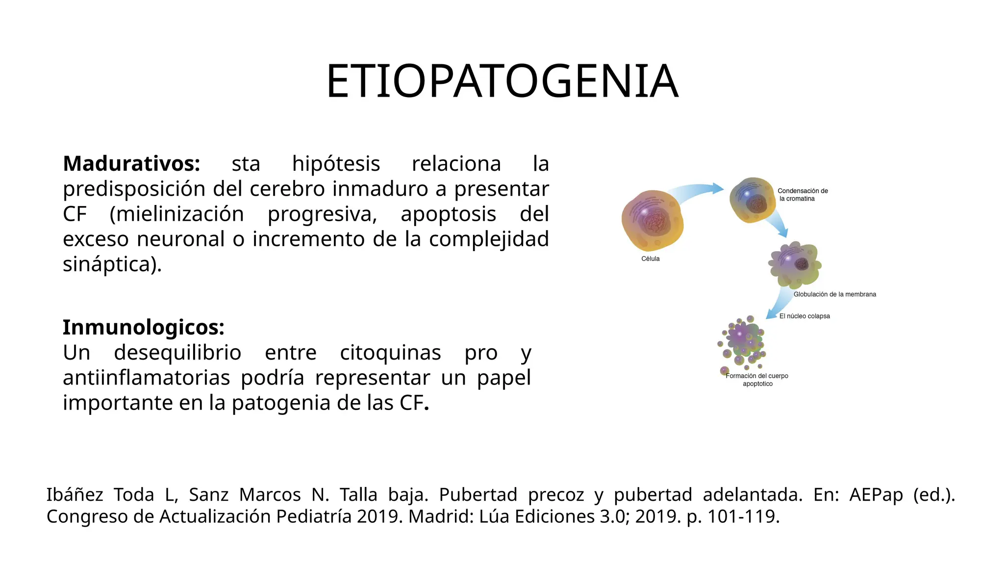 convulsiones febriles.presentación PowerPoint | PPTX