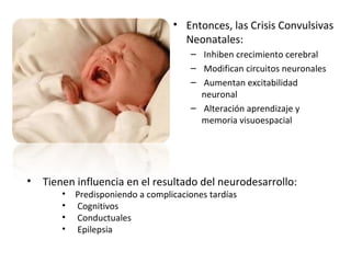 Convulsiones neonatales | PPT