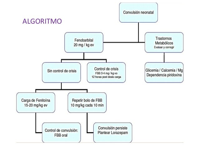 Convulsiones neonatales