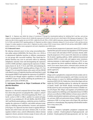 Research Progress on the Anti-tumor Effects of Euphorbia Humifusa | PDF