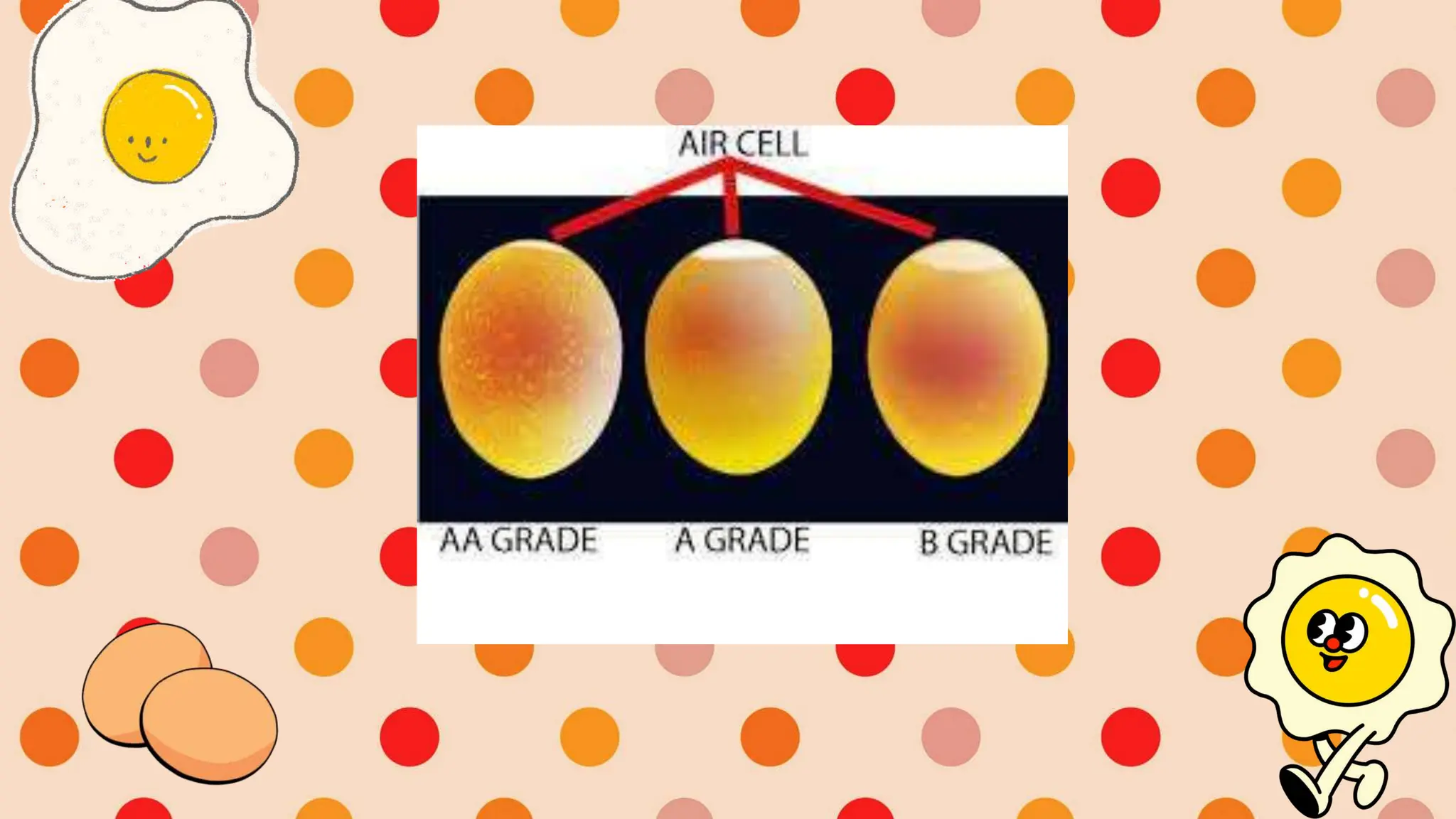 cOOKERY-10-Physical-Structure-and-Composition-of-Egg.pptx