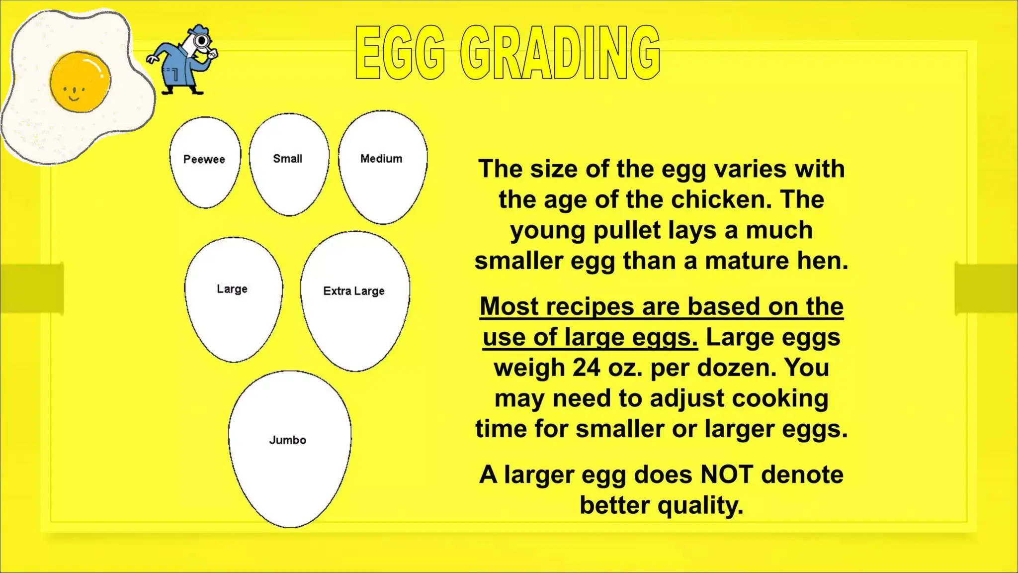 cOOKERY-10-Physical-Structure-and-Composition-of-Egg.pptx