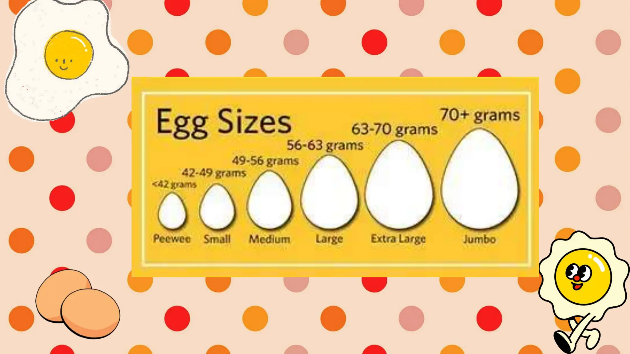 cOOKERY-10-Physical-Structure-and-Composition-of-Egg.pptx