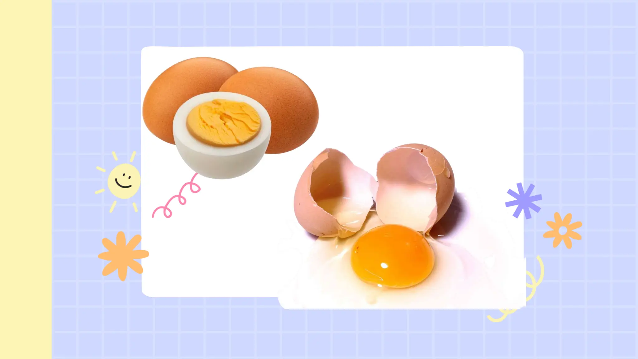 cOOKERY-10-Physical-Structure-and-Composition-of-Egg.pptx