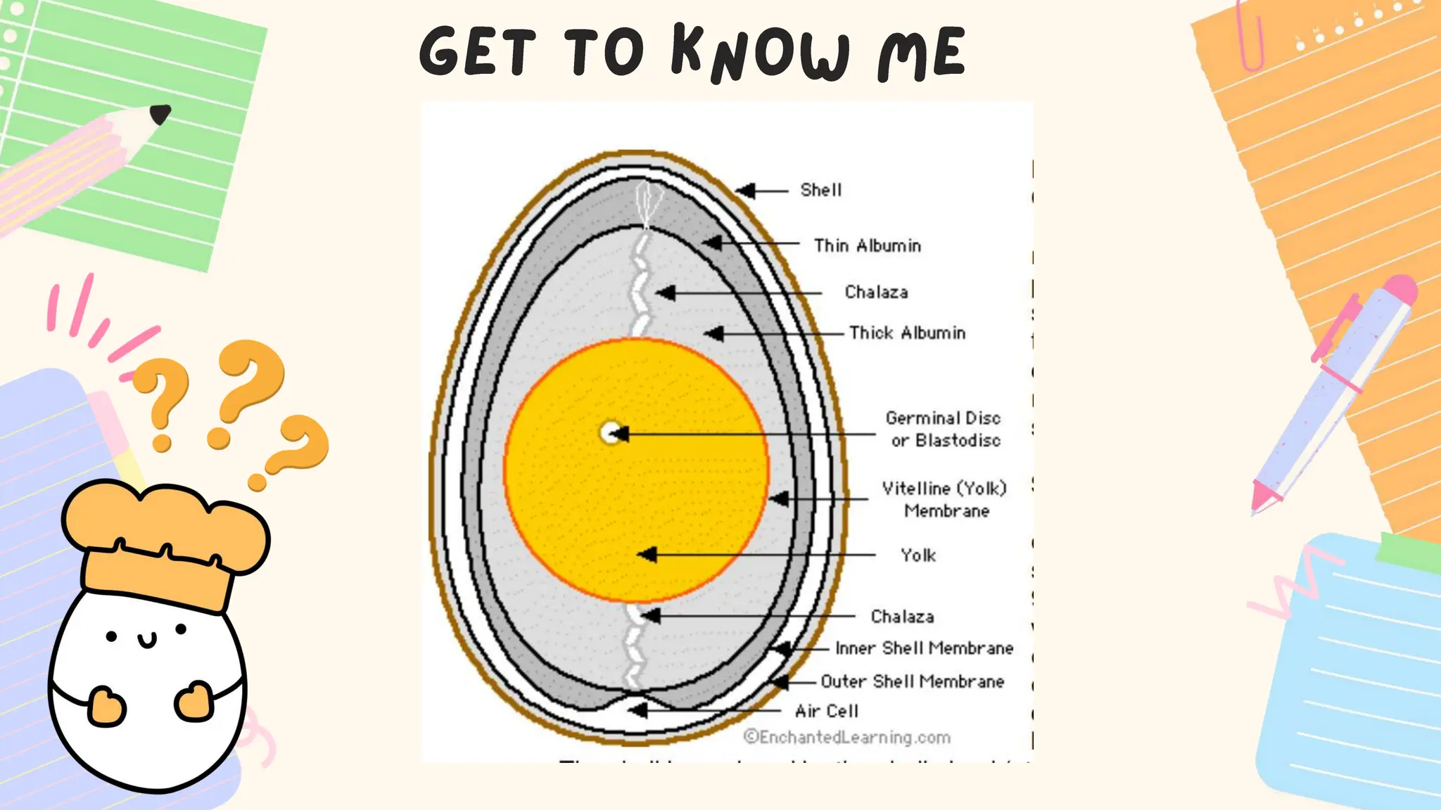cOOKERY-10-Physical-Structure-and-Composition-of-Egg.pptx