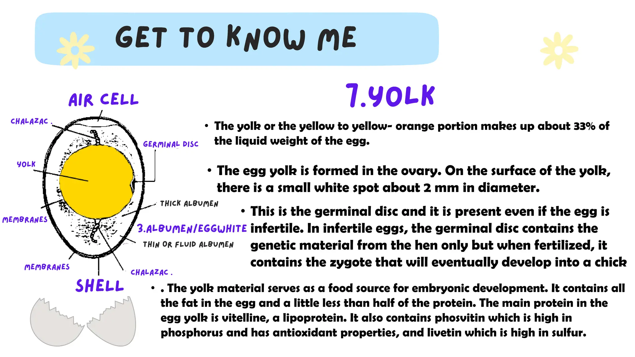 cOOKERY-10-Physical-Structure-and-Composition-of-Egg.pptx