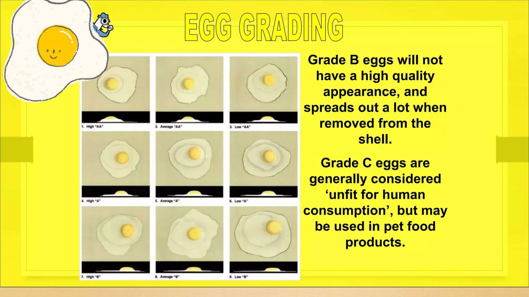 cOOKERY-10-Physical-Structure-and-Composition-of-Egg.pptx