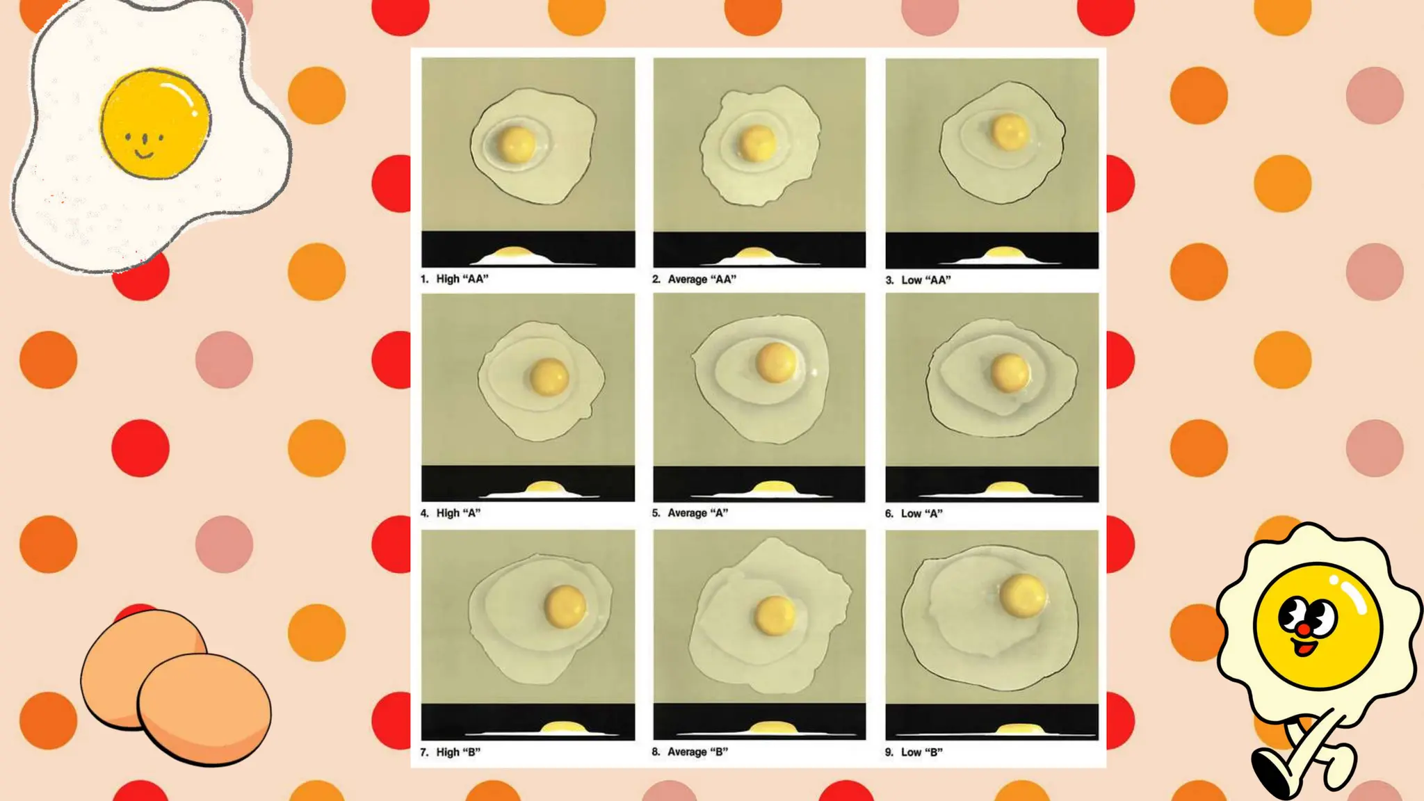 cOOKERY-10-Physical-Structure-and-Composition-of-Egg.pptx