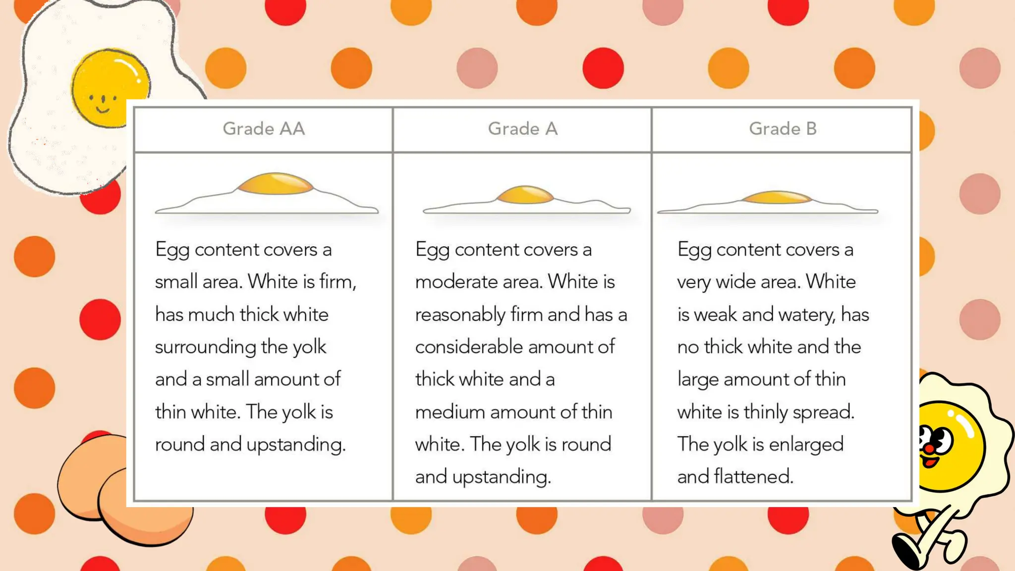 cOOKERY-10-Physical-Structure-and-Composition-of-Egg.pptx