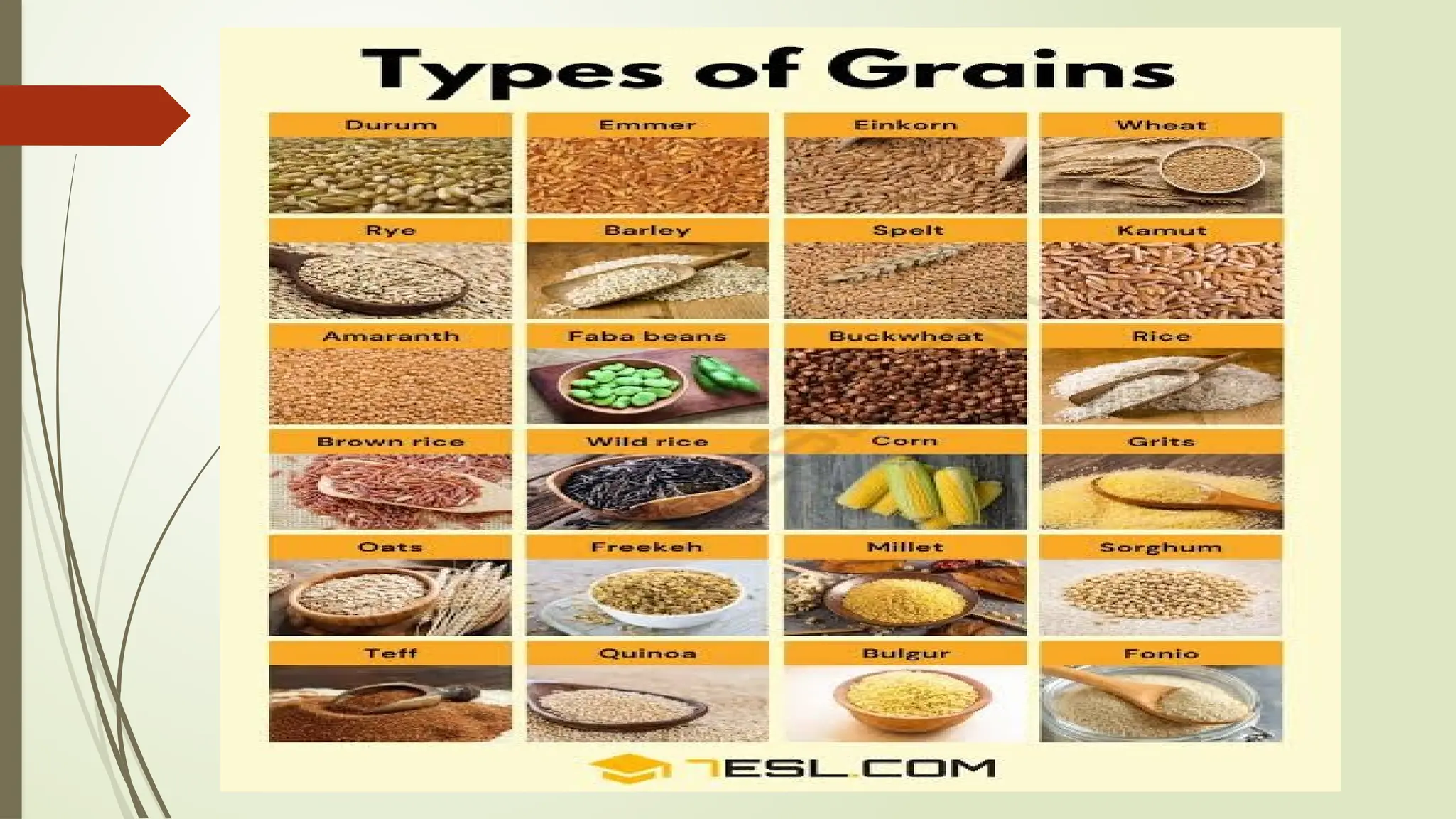 Technical Vocational Livelihood Grade 12- COOKERY-PERFORM MISE EN PLACE ...