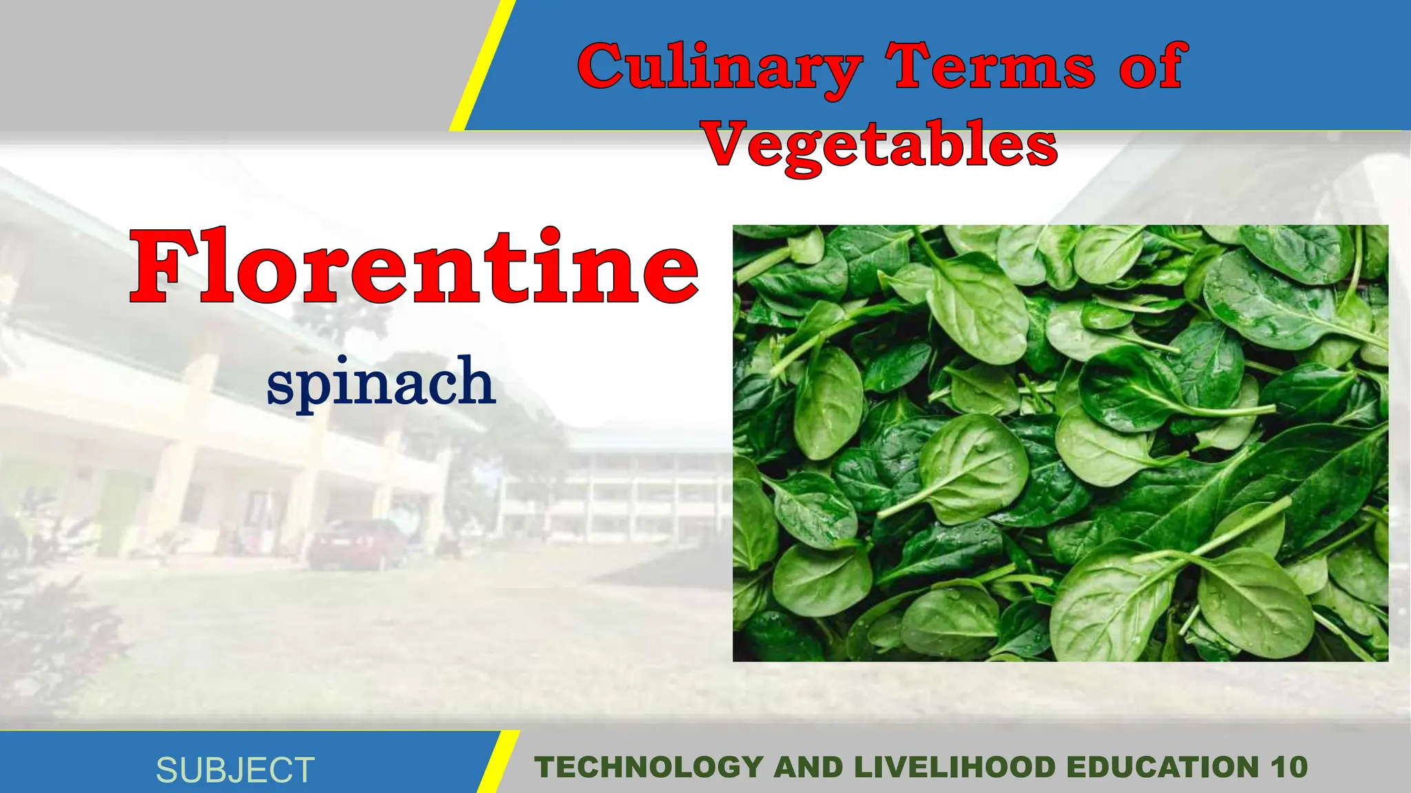 Cookery 10 2nd quarter LESSON 3 Vegetable Terms in culinary.pptx