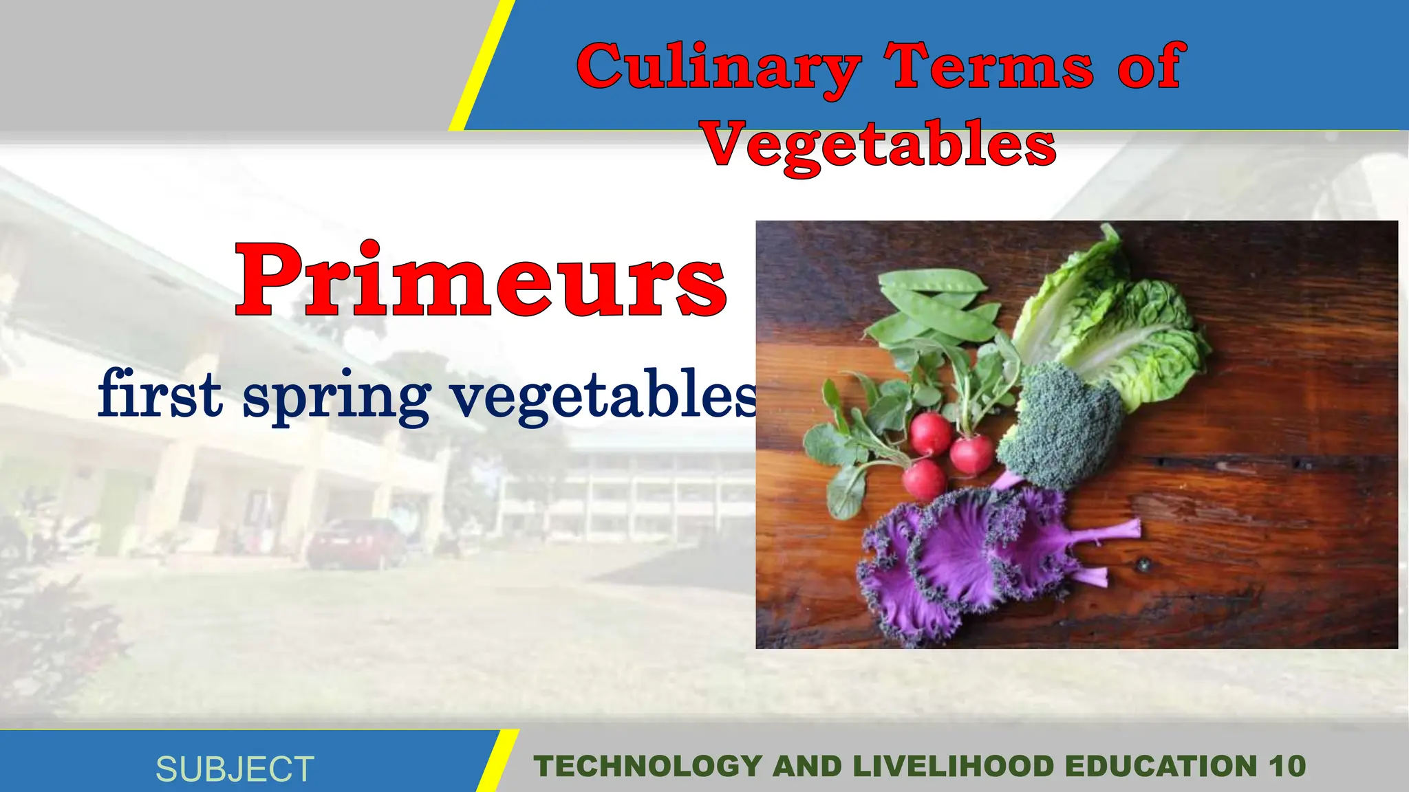 Cookery 10 2nd quarter LESSON 3 Vegetable Terms in culinary.pptx
