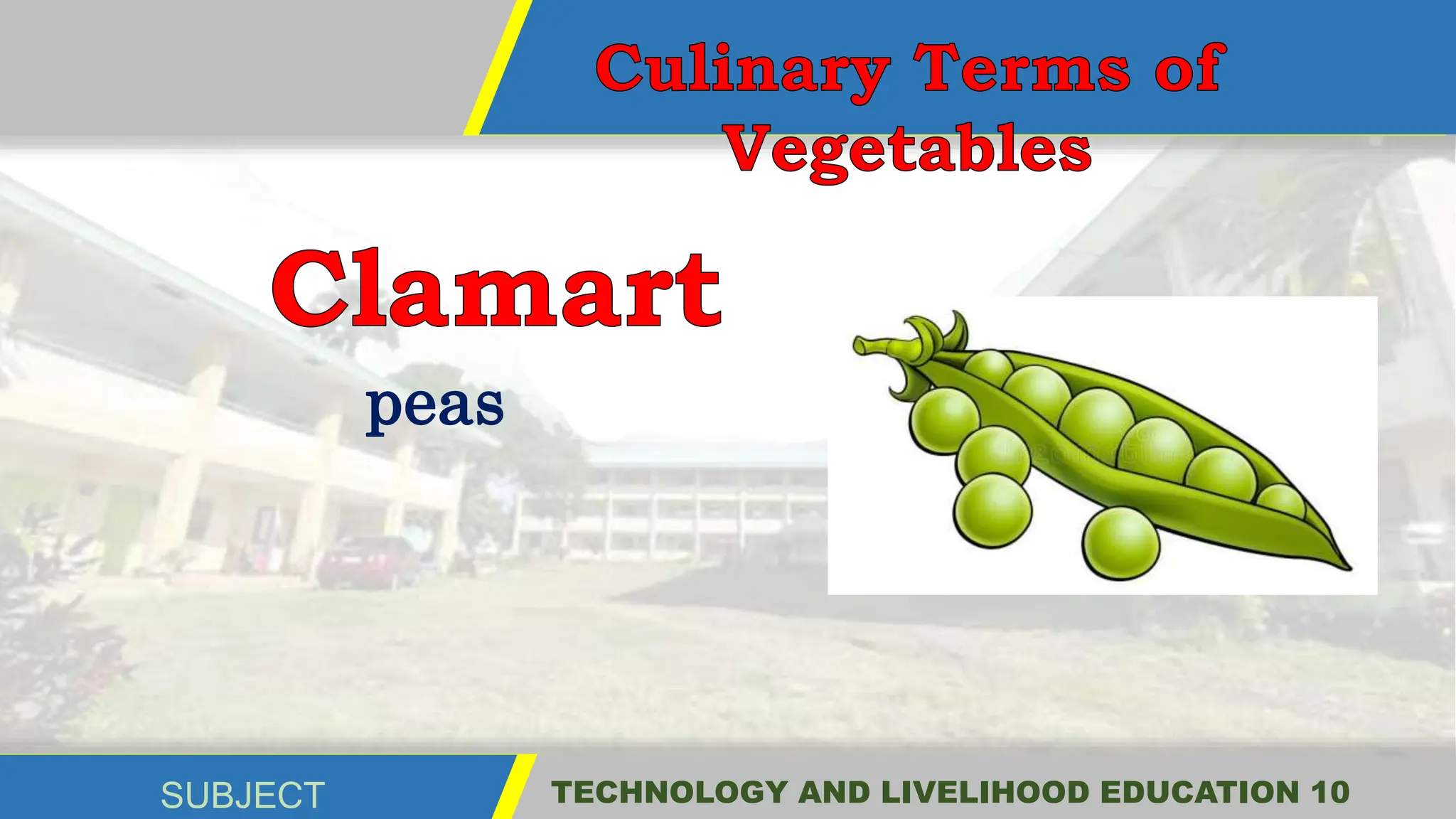 Cookery 10 2nd quarter LESSON 3 Vegetable Terms in culinary.pptx