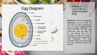 Cookery week 3 quarter 1 | PPTX
