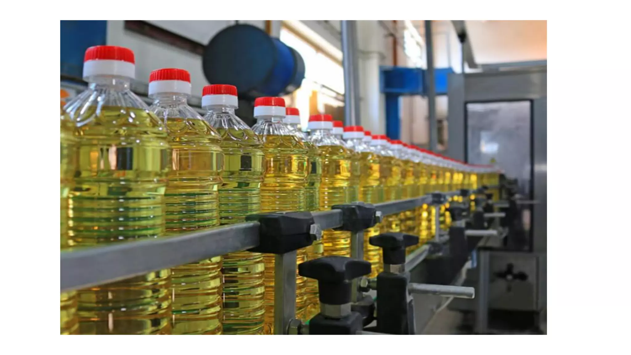 Cooking oil-industry | PDF