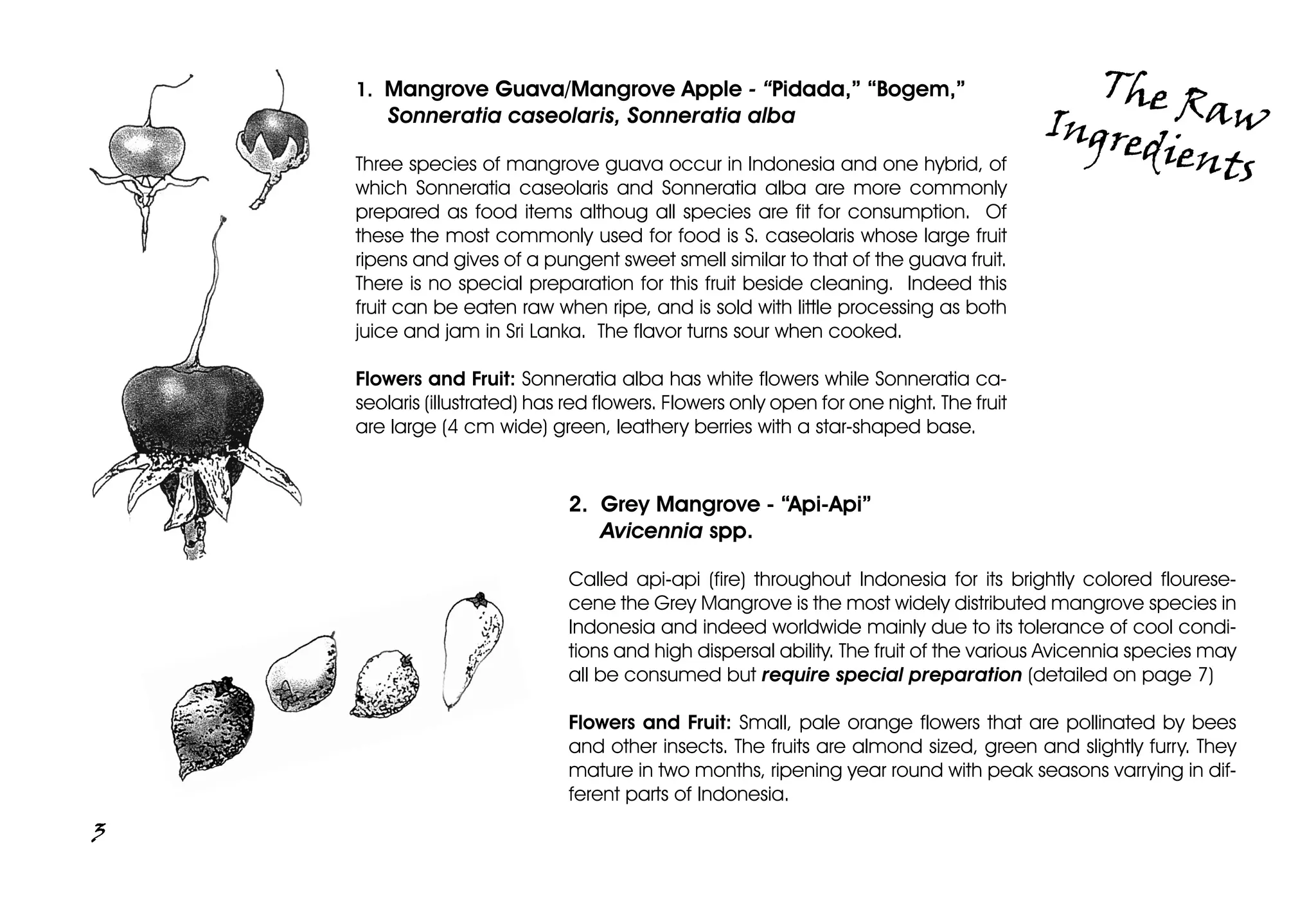 Booklet Cooking with mangrove recipe.pdf