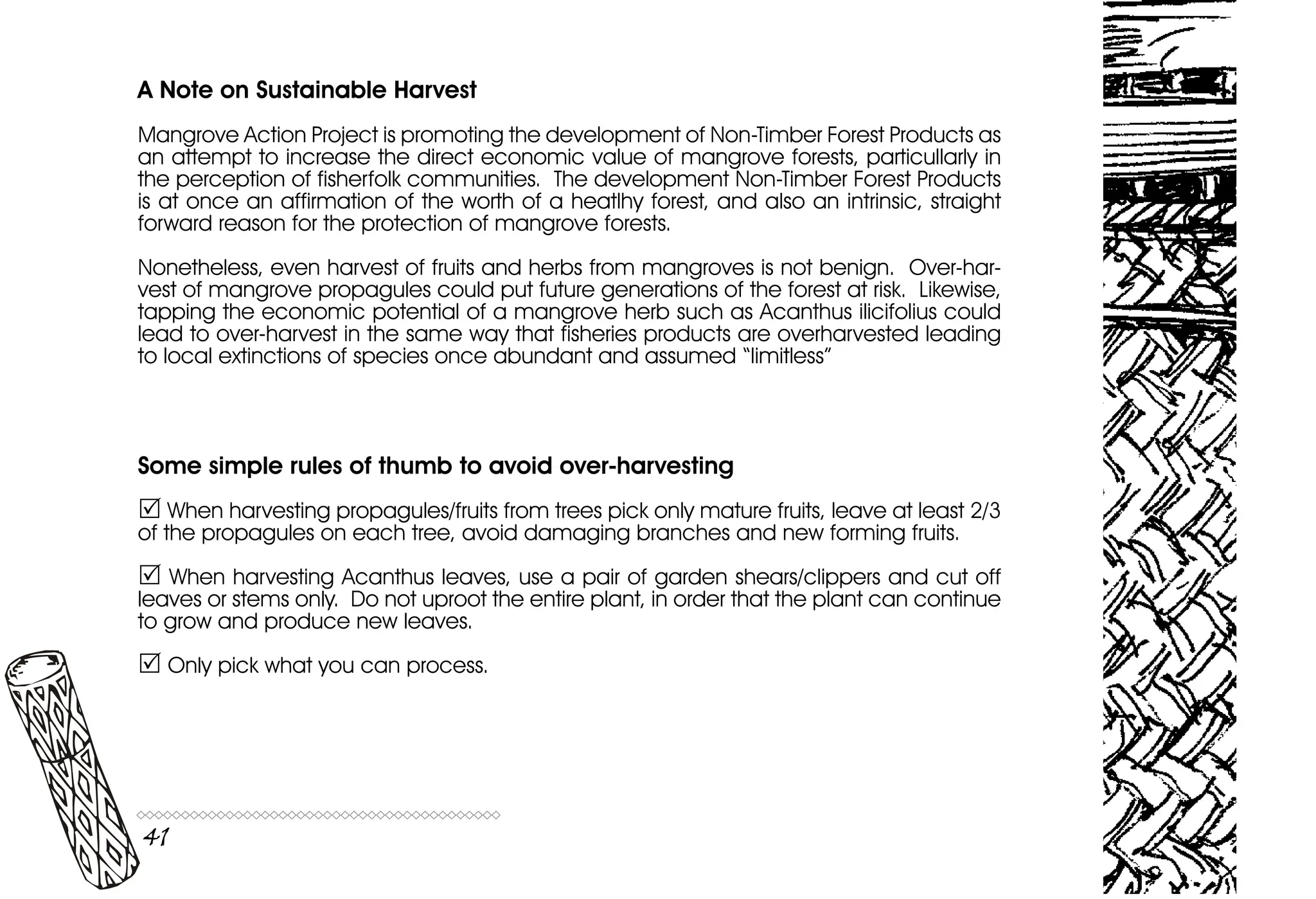 Booklet Cooking with mangrove recipe.pdf