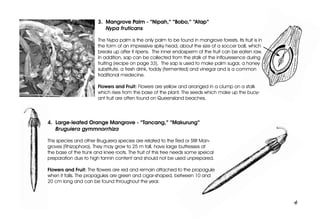 Booklet Cooking with mangrove recipe.pdf