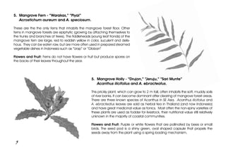 Booklet Cooking with mangrove recipe.pdf