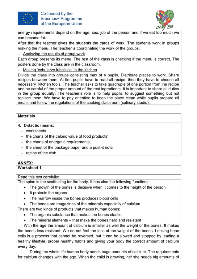 Cooking lesson plans' book | PDF