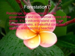 Cook island culture | PPT