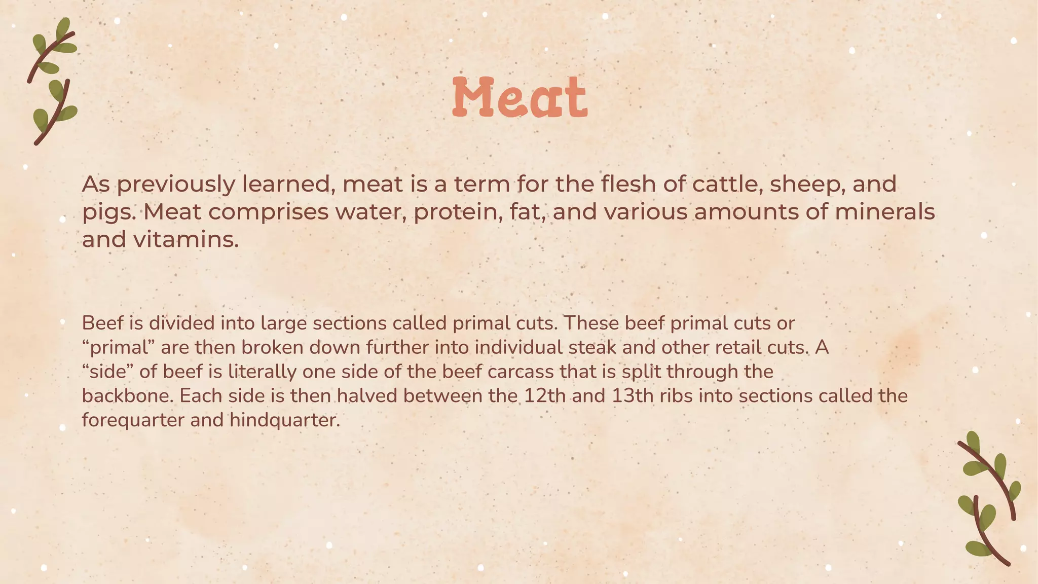 Cook Meat Cuts .pdf
