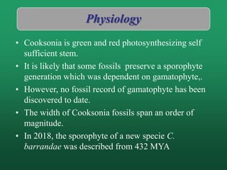 Cooksonia | PPTX