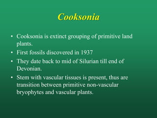 Cooksonia