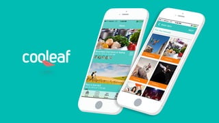 Cooleaf | PPT