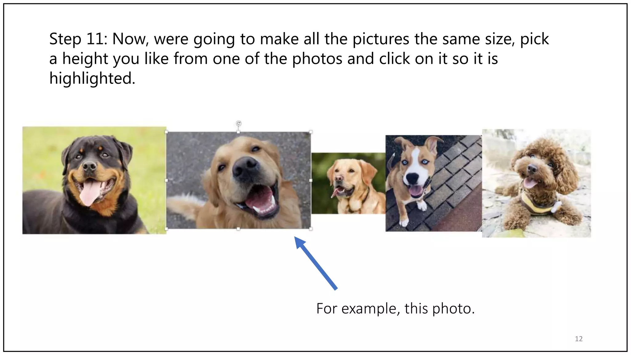 Image Scrolling Tutorial in PowerPoint | PPTX