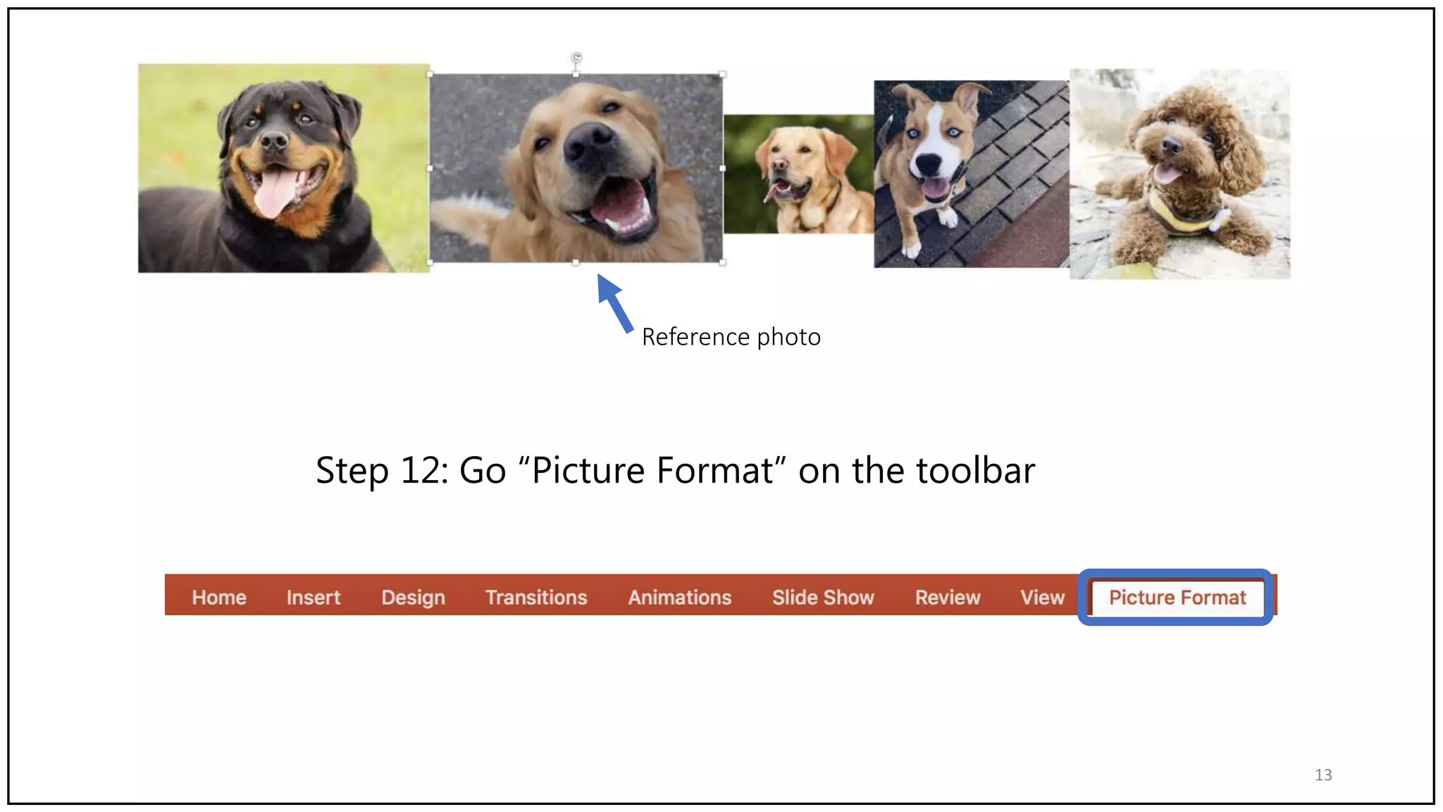 Image Scrolling Tutorial in PowerPoint | PPTX