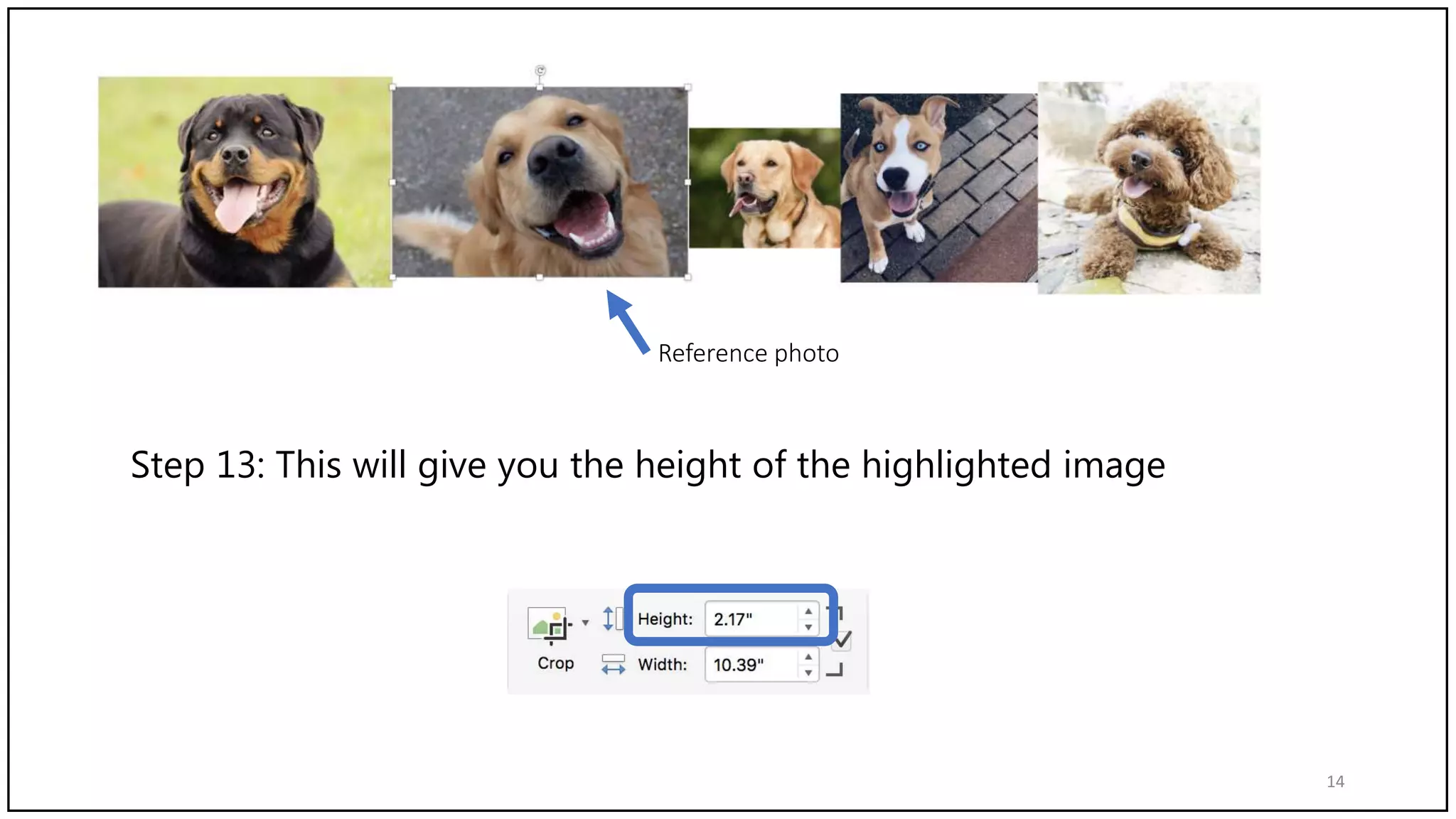 Image Scrolling Tutorial in PowerPoint | PPTX