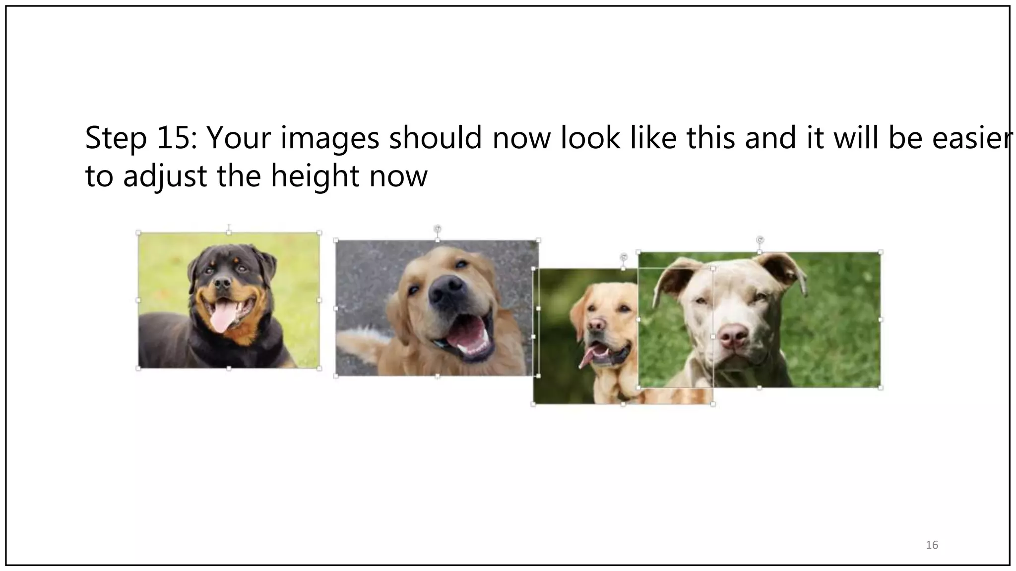 Image Scrolling Tutorial in PowerPoint | PPTX